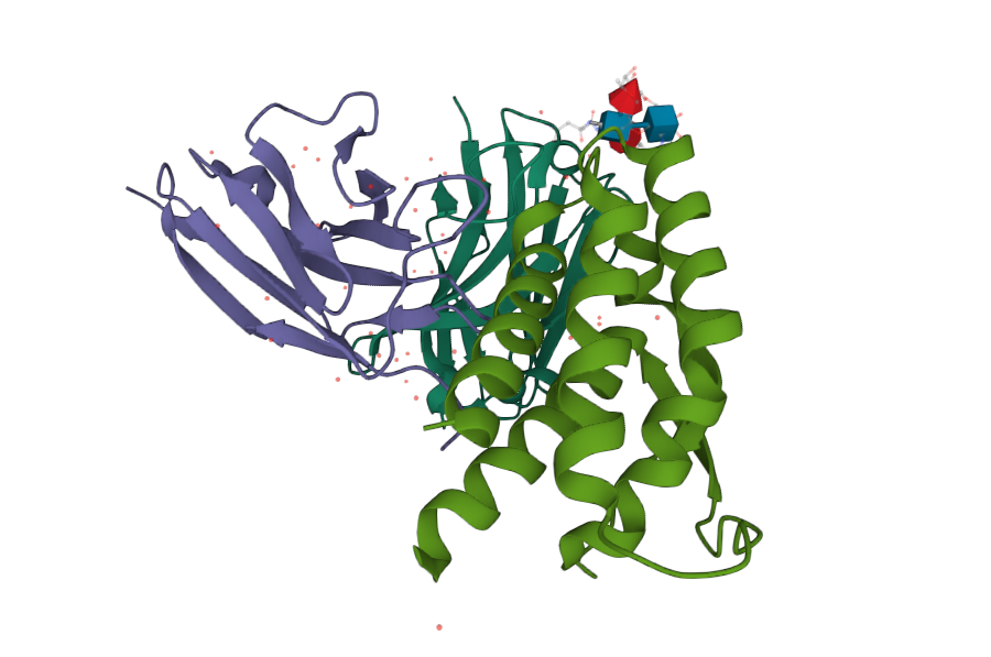 IL-2蛋白：免疫细胞培养好助手 - 联科生物