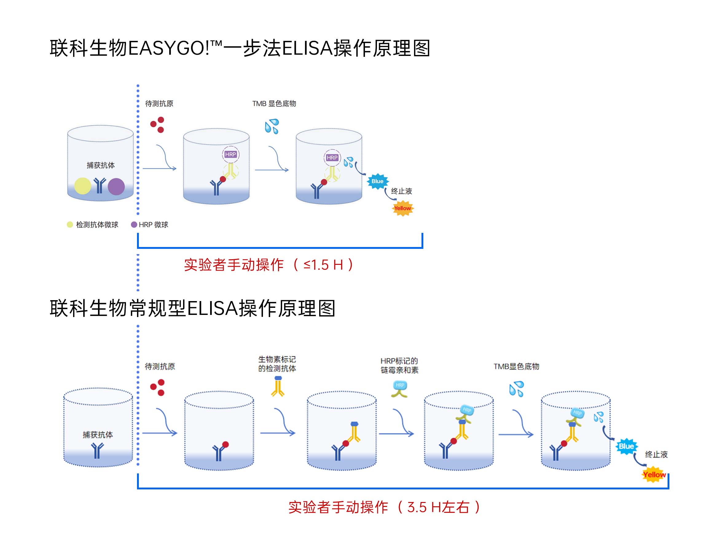 新品发布| ELISA届的“遥遥领先”，你也值得拥有！ - 联科生物