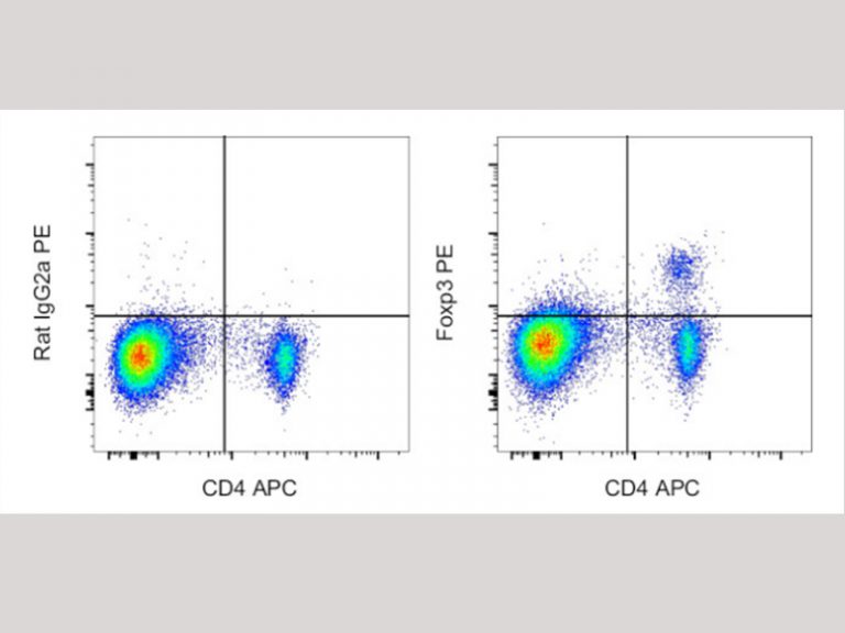 全新CD206抗体：助力巨噬细胞领域的突破 - 联科生物