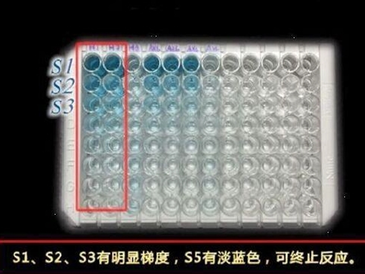 Mouse IgG ELISA Kit检测试剂盒（酶联免疫吸附法） - 联科生物