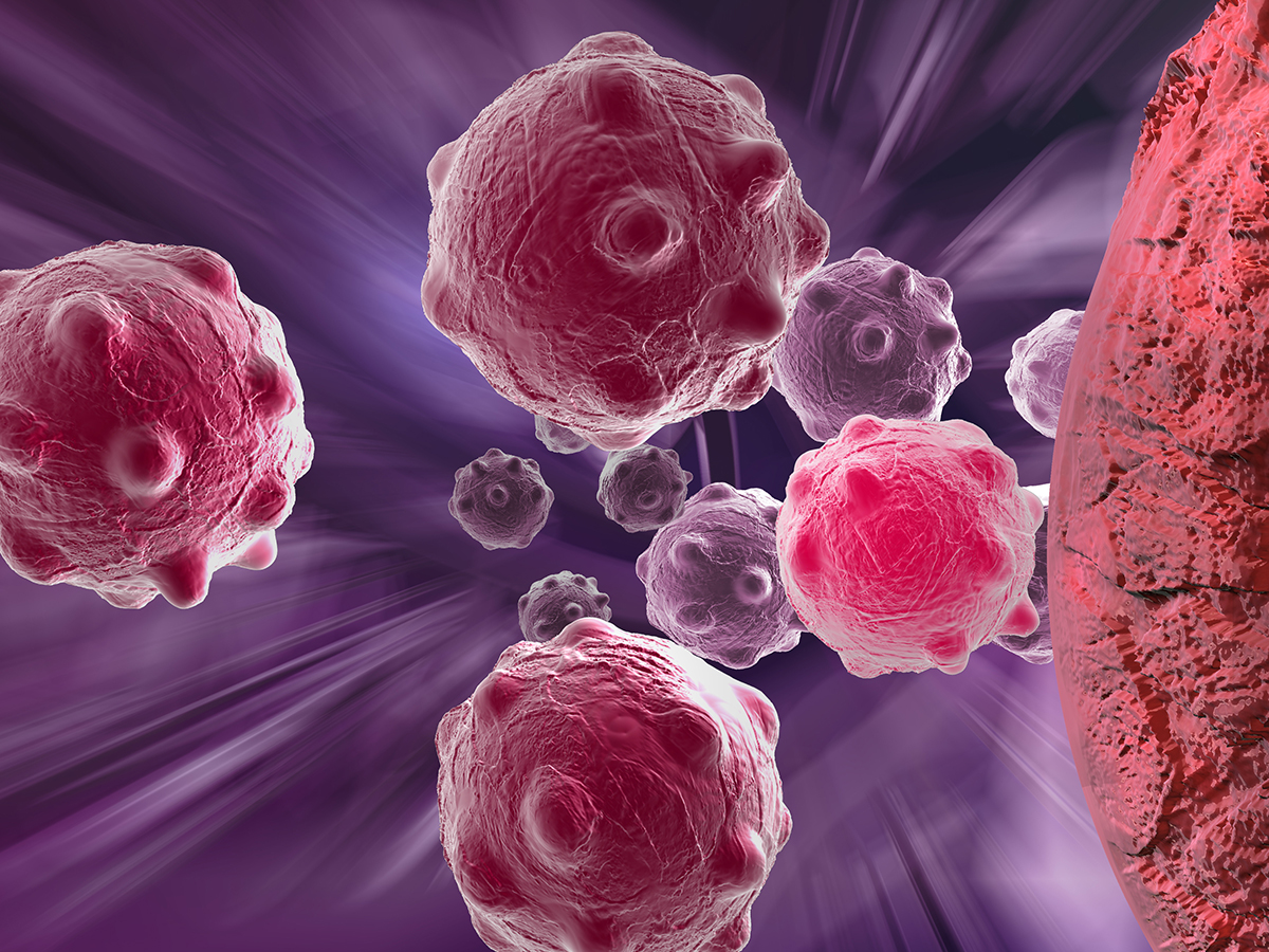 ELISA系列丨肿瘤坏死因子TNF配体及受体超家族成员 - 联科生物