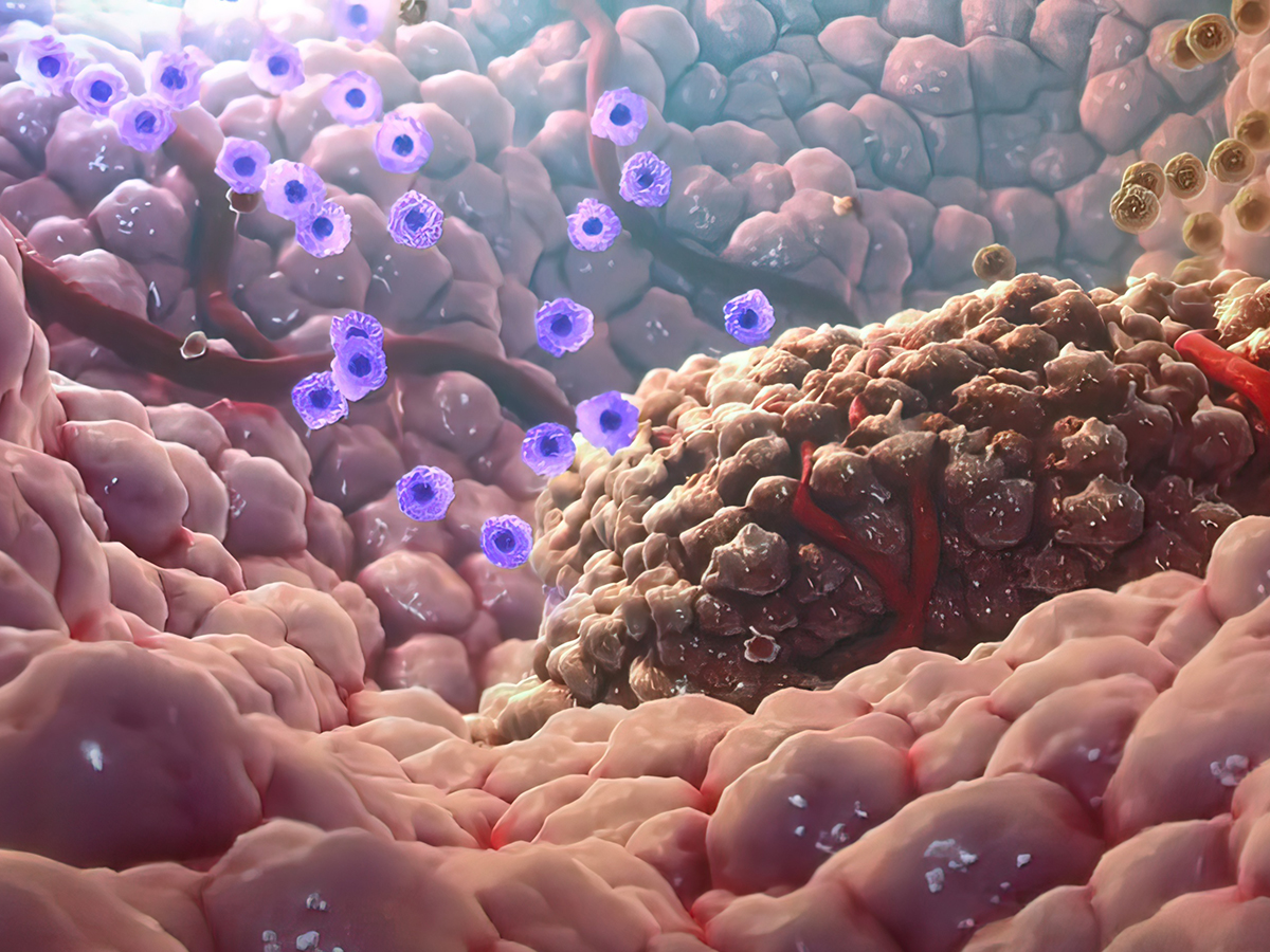 MME 分子靶点信息 - MME分子别称 | 人/小鼠/大鼠MME分子靶点功能 | MME分子靶点检测 | MME分子最新资讯