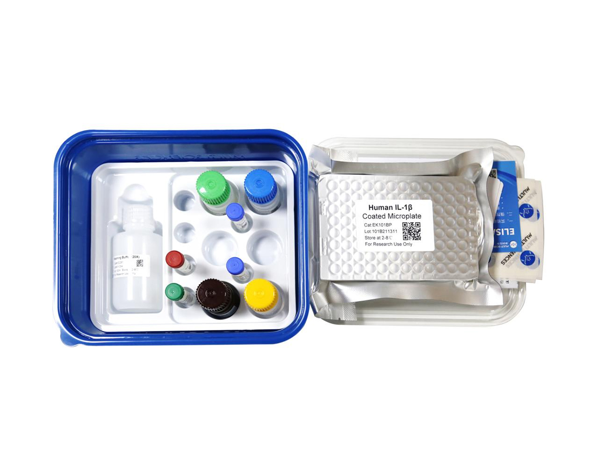 EasyGo!™ Human IL-1β One-Step ELISA Kit 检测试剂盒（酶联免疫吸附法） - 联科生物