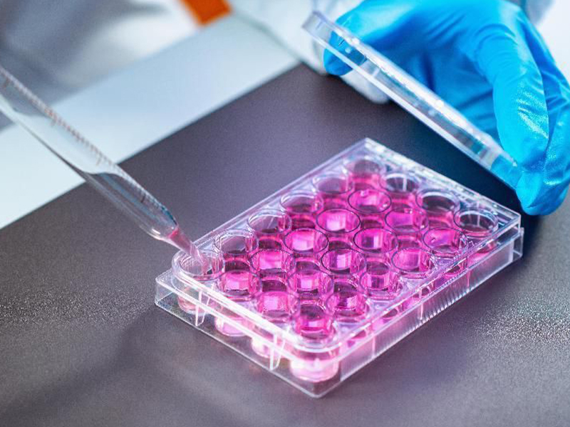 EasyGo!™ Human/Mouse/Rat TGF-β1 ELISA Kit 检测试剂盒（酶联免疫吸附法） - 联科生物