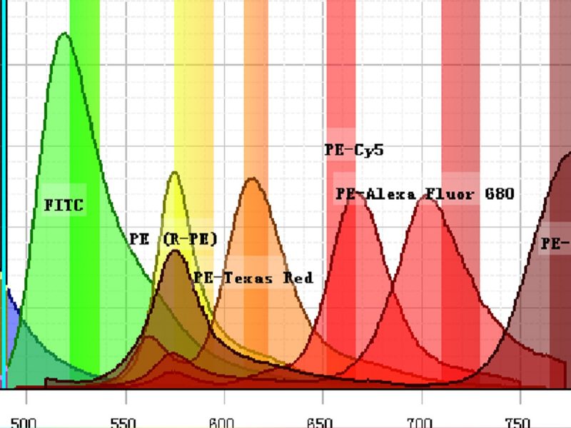 PeproTech TGF-β1/β2/β3 产品介绍 - 联科生物