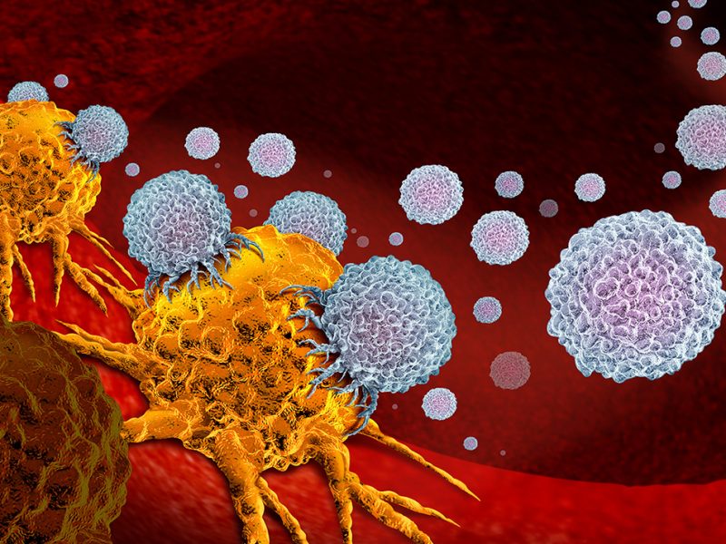 ELISA系列丨肿瘤坏死因子TNF配体及受体超家族成员 - 联科生物