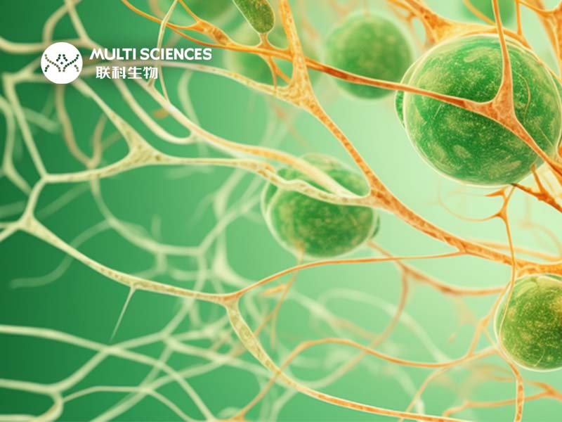 FoxP3/Transcription Factor Staining Buffer Kit - 联科生物
