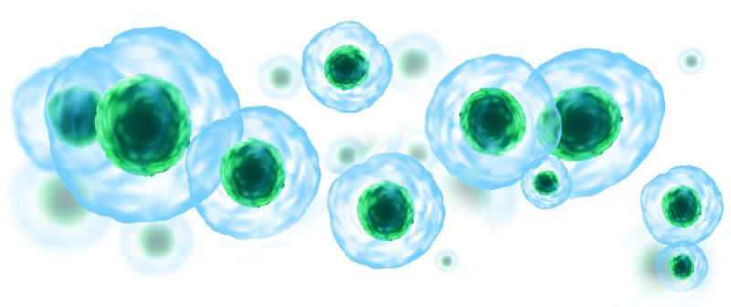 ELISA通关必备丨样本篇丨常见样本丨细胞 - 联科生物