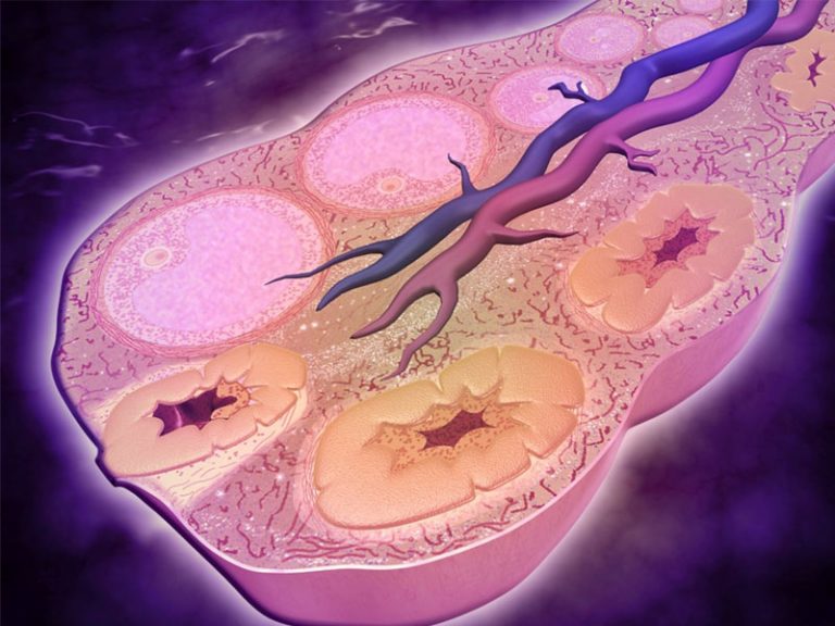 ELISA 通关必备 - 联科生物