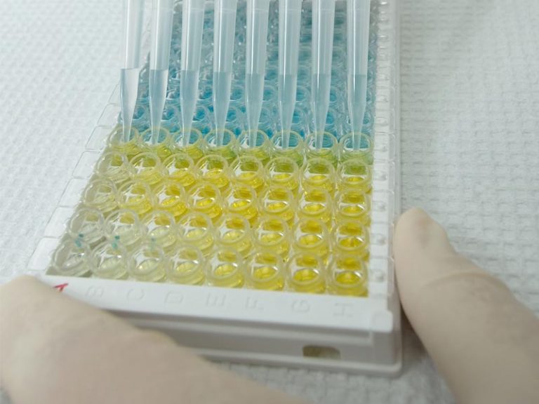 ELISA通关必备丨操作篇丨常见问题及解决方案 - 联科生物