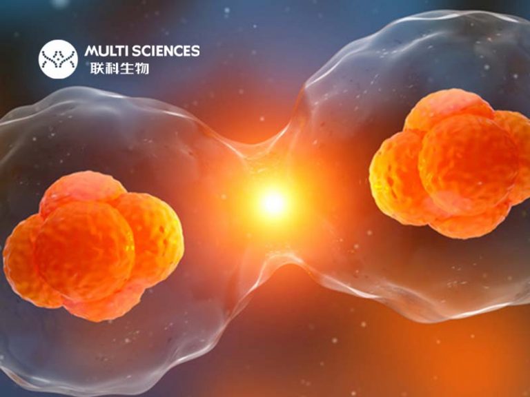 Accutase Enzyme (Accutase 酶) 100mL - 联科生物