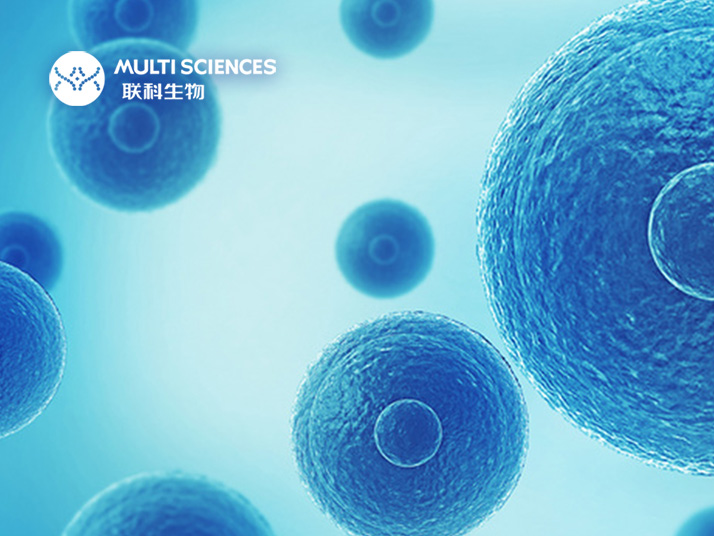 FGF basic/FGF2/bFGF：细胞培养中必不可少的生长因子 - 联科生物