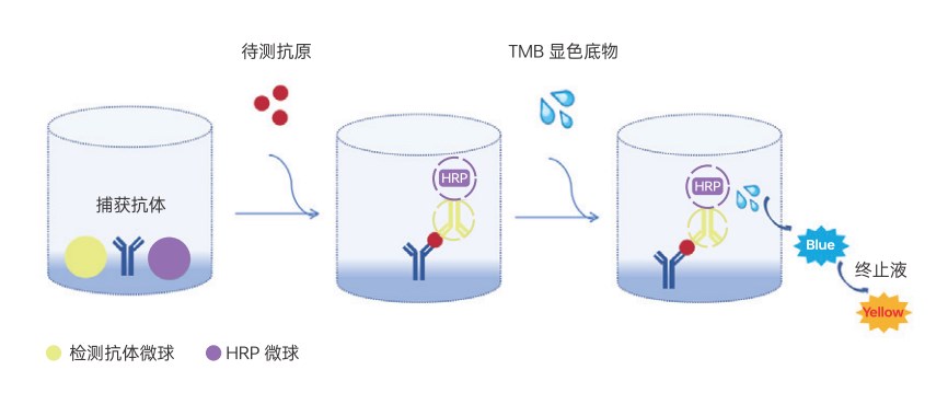 EasyGo！一步法ELISA试剂盒 - 联科生物