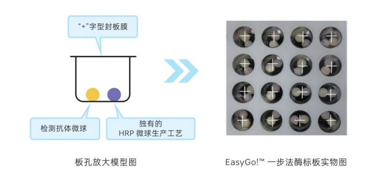 EasyGo！一步法ELISA试剂盒 - 联科生物