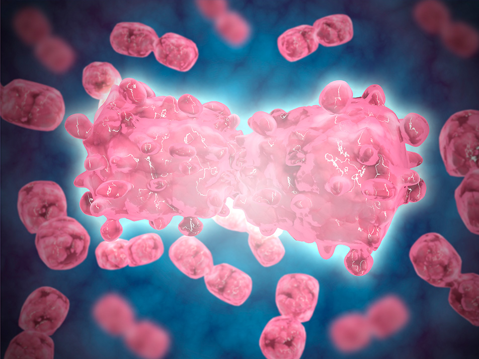 CD2 分子靶点信息 - CD2分子别称 | 人/小鼠/大鼠CD2分子靶点功能 | CD2分子靶点检测 | CD2分子最新资讯