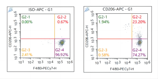 全新CD206抗体：助力巨噬细胞领域的突破 - 联科生物