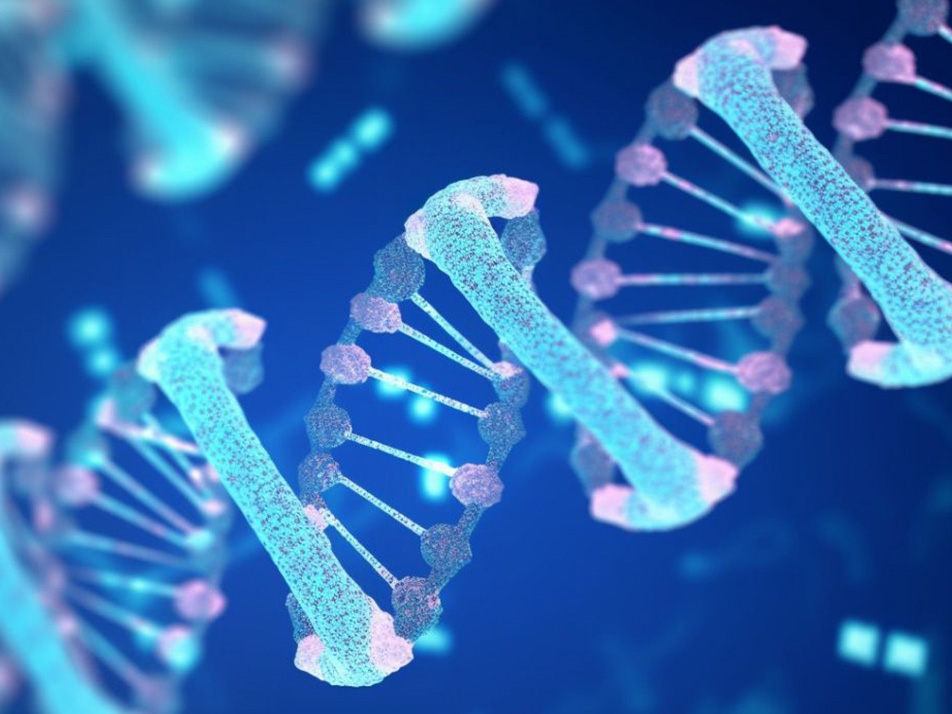 ELISA系列 丨Selectin家族 - 联科生物