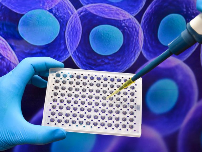 小鼠骨髓来源树突状细胞(BMDC)的培养注意事项 - 联科生物