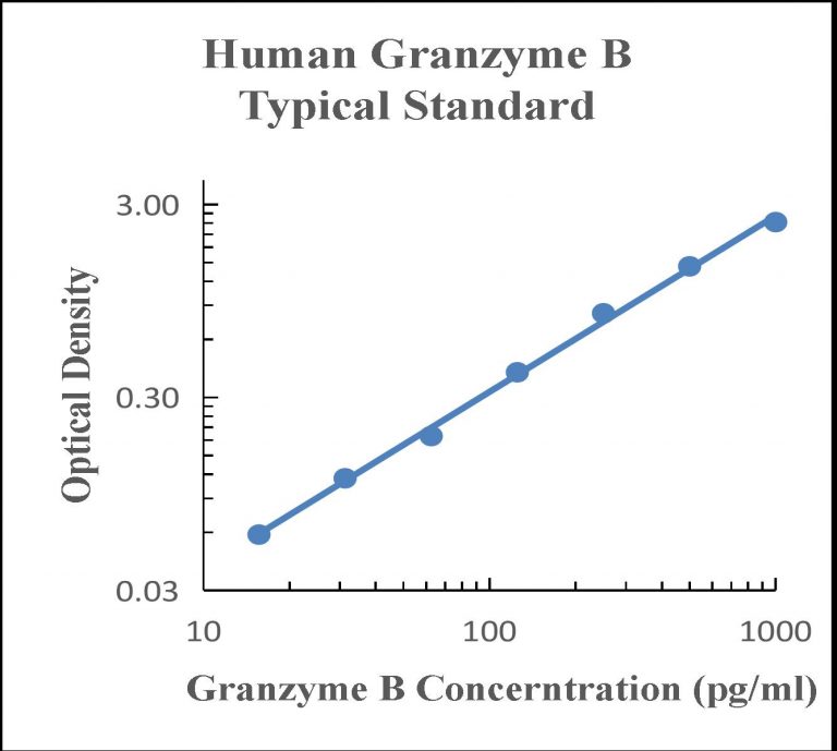 Human Granzyme B standard 人颗粒酶B (Granzyme B)标准品 - 联科生物