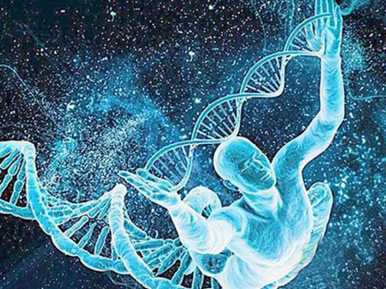 FGF basic/FGF2/bFGF：细胞培养中必不可少的生长因子 - 联科生物