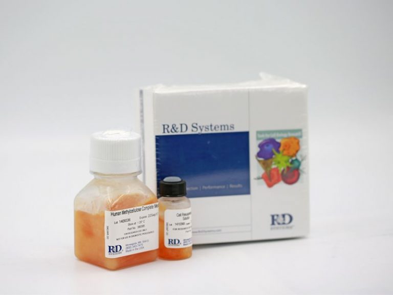 KIT 分子靶点信息 - KIT分子别称 | 人/小鼠/大鼠KIT分子靶点功能 | KIT分子靶点检测 | KIT分子最新资讯