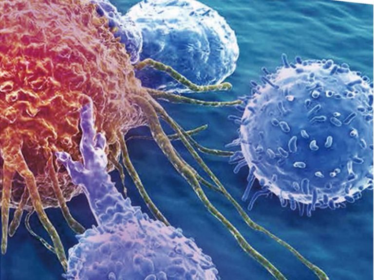 PI、7-AAD和DAPI的区别 - 联科生物