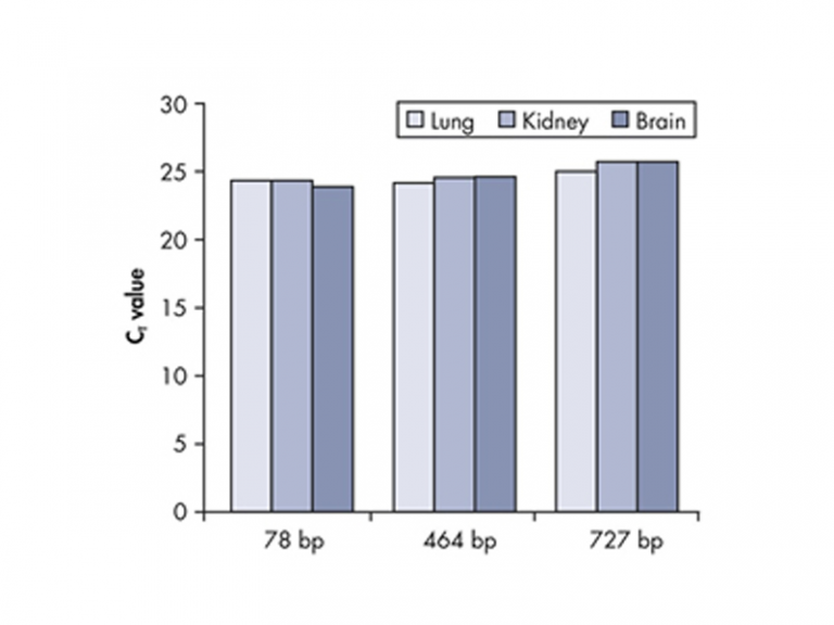 PI、7-AAD和DAPI的区别 - 联科生物