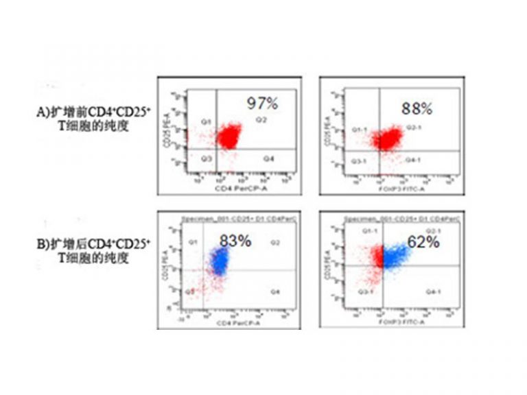 小鼠骨髓来源树突状细胞(BMDC)的培养注意事项 - 联科生物