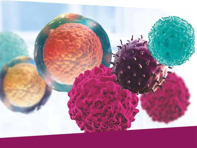 Tnaive/Tcm/Tem细胞知多少 - 联科生物