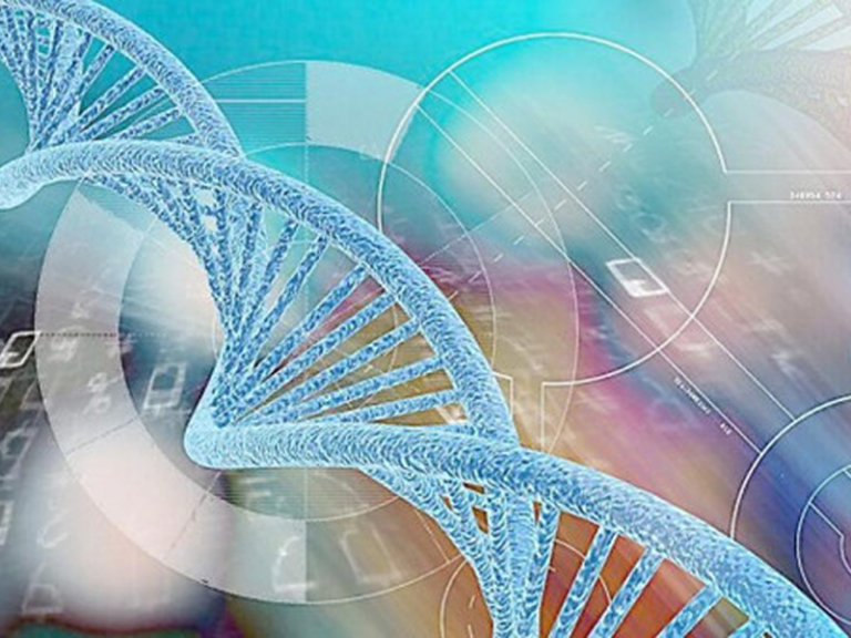 白细胞-血小板聚集检测方法简介 - 联科生物